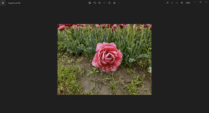 Pythonの「PIL」とは？画像処理ライブラリの使い方・テクニックを解説 | NEUTRAL